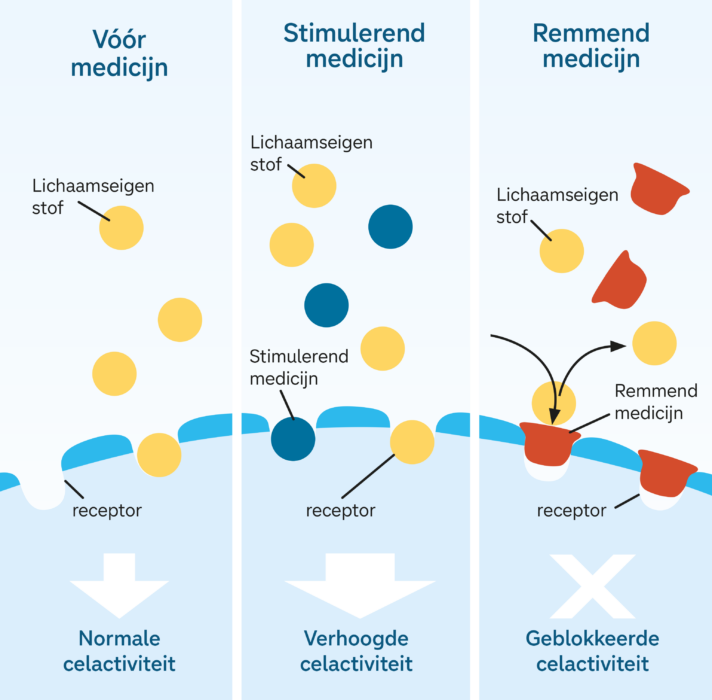 Thema - De werking van medicijnen - Service Apotheek
